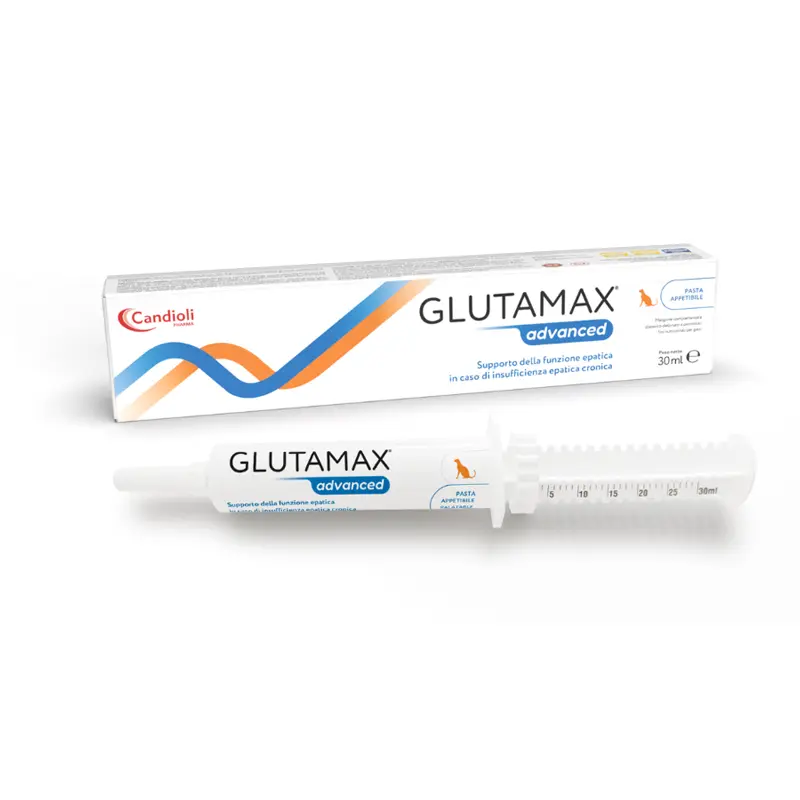 GLUTAMAX ADVANCED PASTA (30 ml) - Supporto nutrizionale in pasta per l ...