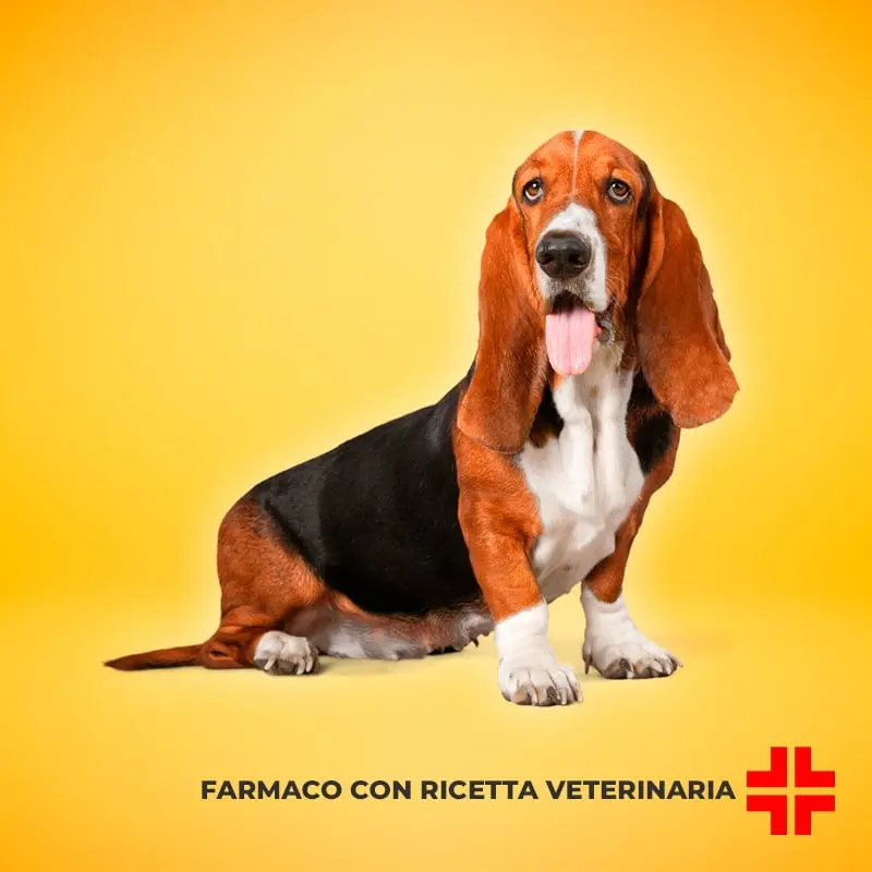 CANITROID 400 MG (50 cpr) - Farmaco veterinario per il trattamento dell ...