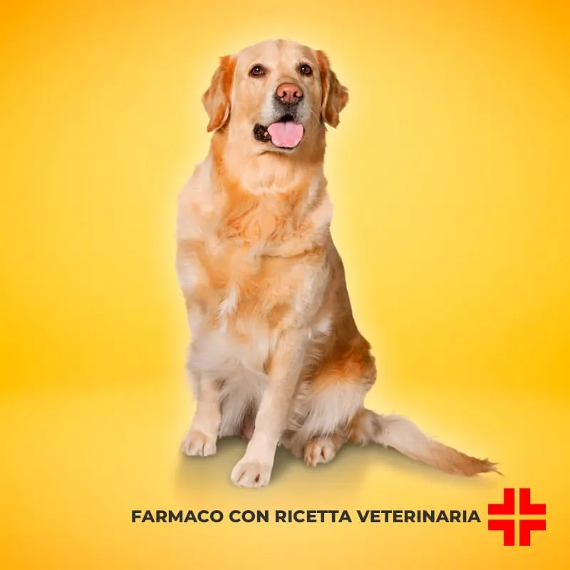 ZITAC VET 100 MG (30 cpr) - Trattamento in compresse della gastrite ...